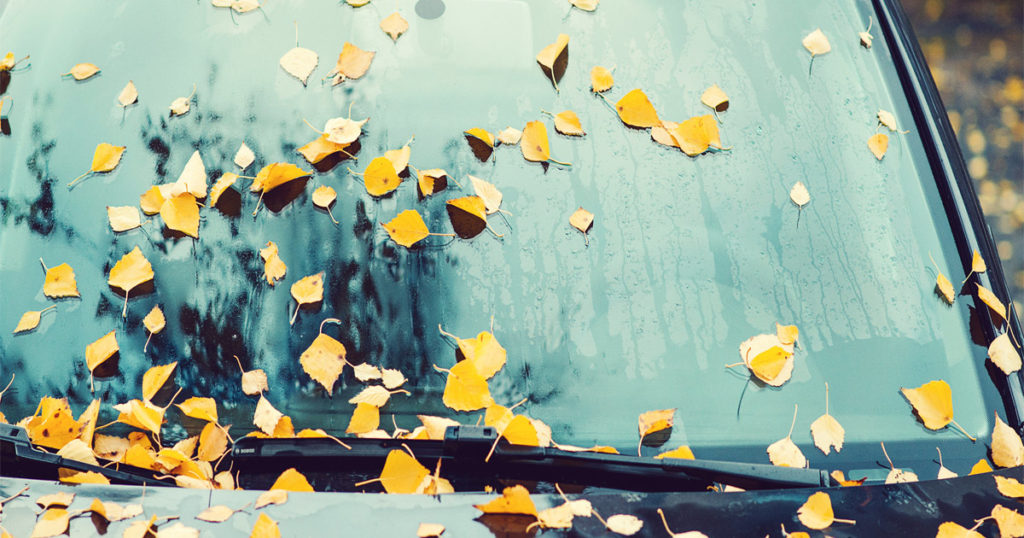 Driving Tips for Fall Months | Edwardsville Car Accident Lawyers